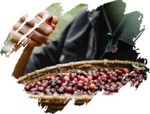 About Us - Jaad Food